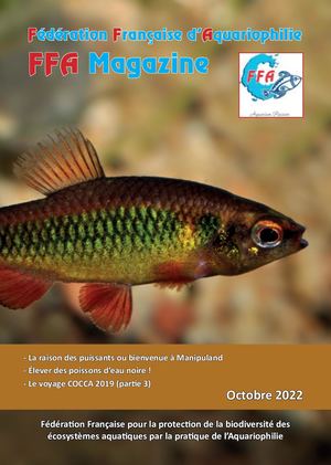 Calaméo - FFA Magazine - Octobre 2022
