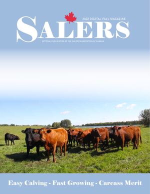 Calaméo - 2022 Digital Fall Magazine Website