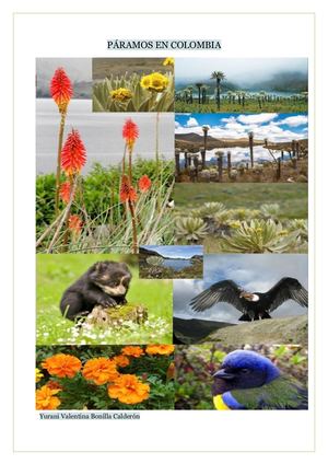Calaméo - Páramos En Colombia Yurani