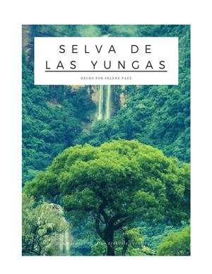 Calaméo - Selva De Las Yungas