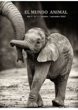 Calaméo - El Mundo Animal (1)