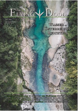 Calaméo - 4. Ausgabe The Flying Dodo