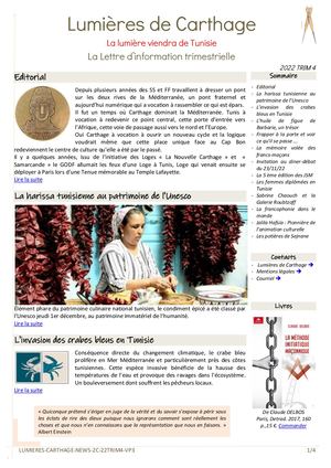 Calaméo - Lumieres Carthage News 2c 22trim4 Vp3
