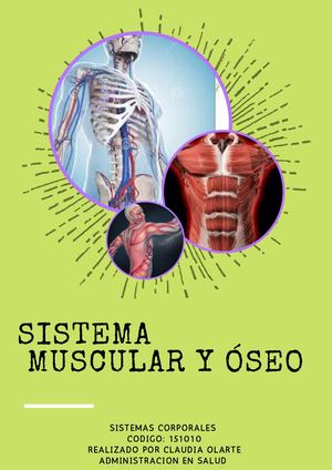 Calaméo - Sistema Muscular Y ÓSeo