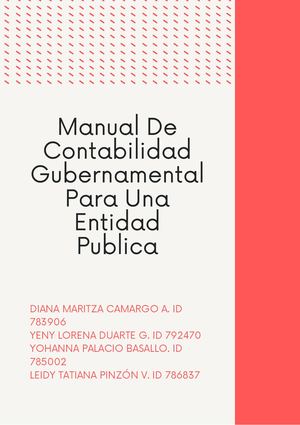Calaméo - Manual De Contabilidad Gubernamental Para Una Entidad Publica