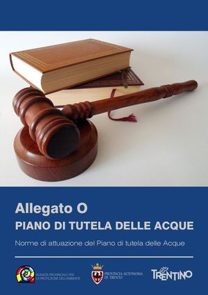 Calaméo - Allegato O