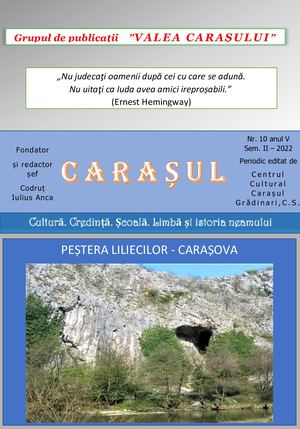 Calaméo - Carasul 10 2022