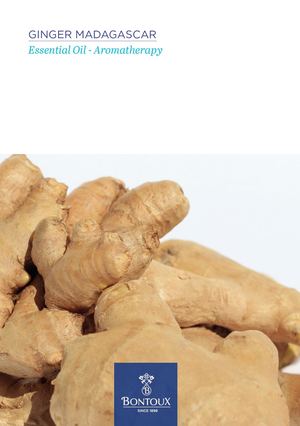 Calaméo - FOCUS - GINGER - Aromatherapy - Bontoux