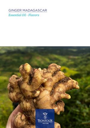 Calaméo - FOCUS - GINGER - FLAVORS - Bontoux