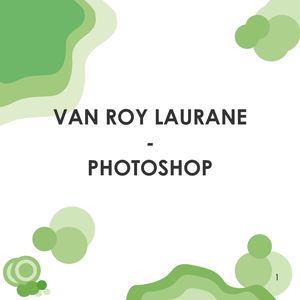 Calaméo - Portfolio Van Roy Laurane