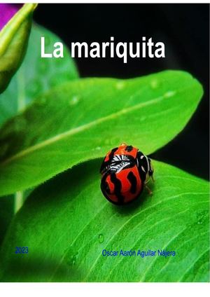 Calaméo - La Mariquita