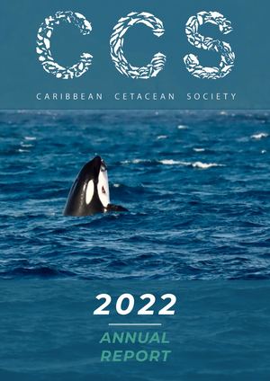 Calaméo - Annual Report CCS 2022