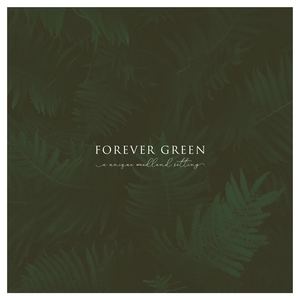 Calaméo - Forever Green