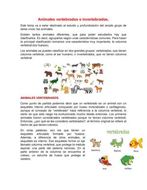 Calaméo - Animales Vertebrados E Invertebrados