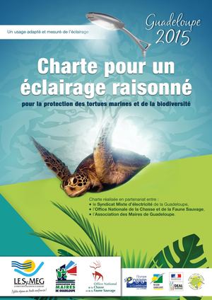 Calaméo - Charte Eclairage Public Sy Meg Amg Oncfs 21 05