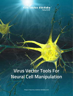 Calaméo - Virus Vector Tools For Neural Cell Manipulation