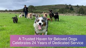 Calaméo - A Trusted Haven for Beloved Dogs Celebrates 24 Years of ...
