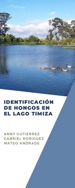 Calaméo - Identificación De Hongos En El Lago Timiza