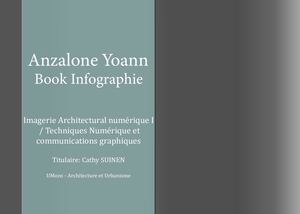 Calaméo - Anzalone Yoann Infographie Fe2