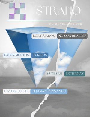 Calaméo - Strano Revista