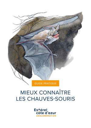 Calaméo - Guide Pratique - Mieux connaître les chauves-souris