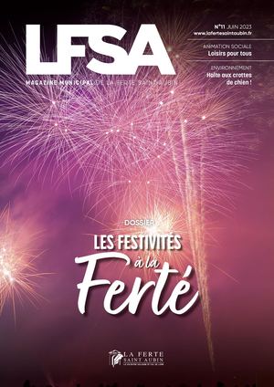 Calaméo - Lfsa Mag N11 Web