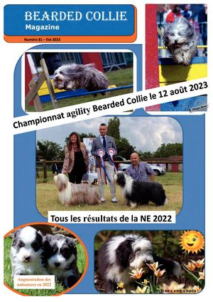 Calaméo - Bccf Brochure