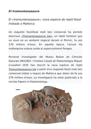 Calaméo - Tramuntanasaure cicle superior