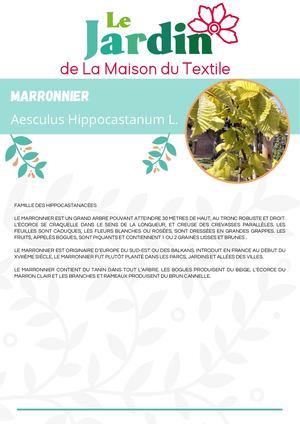 Calaméo - Marronnier