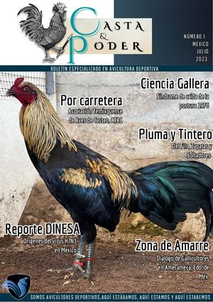 Calaméo - Casta y Poder No 1