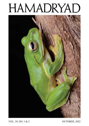 Calaméo - First record of Anderson’s Bubble-nest Frog Raorchestes ...