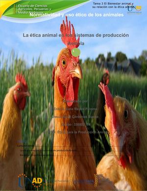 Calaméo - El Bienestar Animal Y Su Relación Con La éTica Animal
