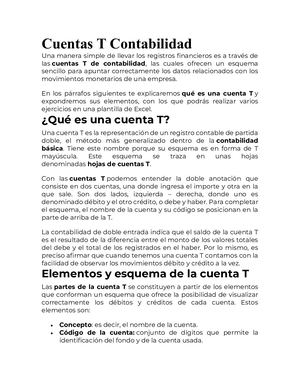 Calaméo - Cuentas T Contabilidad