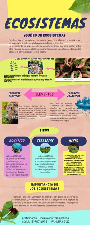 Calaméo - Infografia Ecosistemas