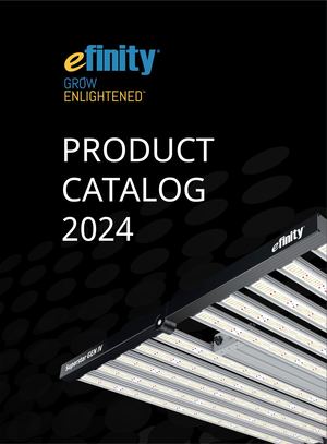 Calaméo - Efinity Iluminar Catalog 2023 Digital Publish