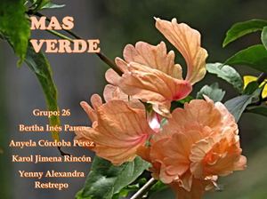 Calaméo - Album Fotografico Mas Verde