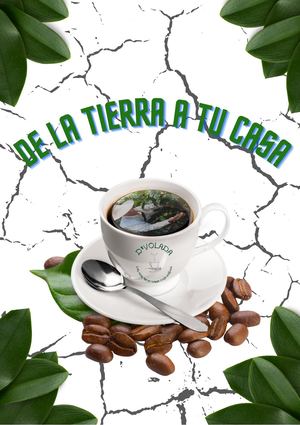 Calaméo - D'Volada Fundamentos MKF