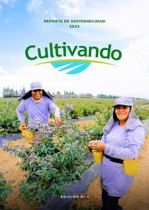 Calaméo - Reporte De Sostenibilidad 2023
