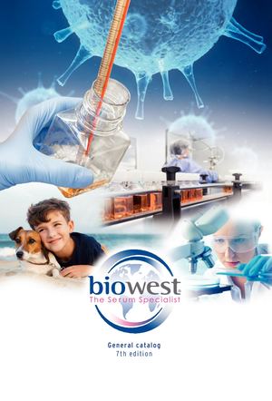 Calaméo - Biowest General Catalog Serum Specialist