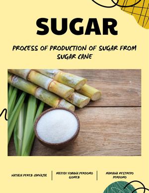 Calaméo - Process Of Production Of Sugar