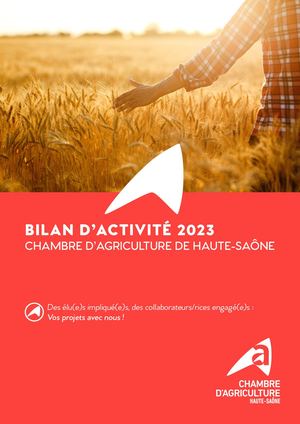 Calaméo - Bilan D'activité 2023