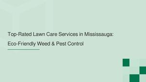 Calaméo - Top-Rated Lawn Care Services in Mississauga: Eco-Friendly ...