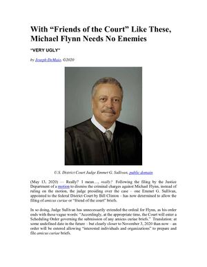 Calaméo - With 'Friends Of The Court' Like These Michael Flynn Needs No ...