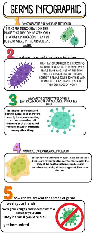 Calaméo - Germs Infographic (1)