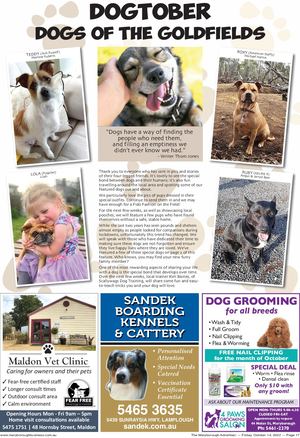 Calaméo - Dogtober 2022