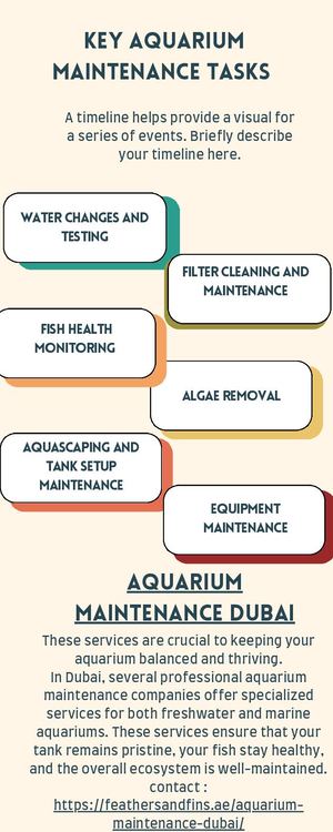 Calaméo - Key Aquarium Maintenance Tasks (1)