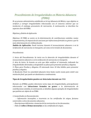 Calaméo - Procedimiento De Irregularidades En Materia Aduanera