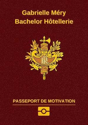 Calaméo - Passeport Gaby Cv Et Lettre Motivation