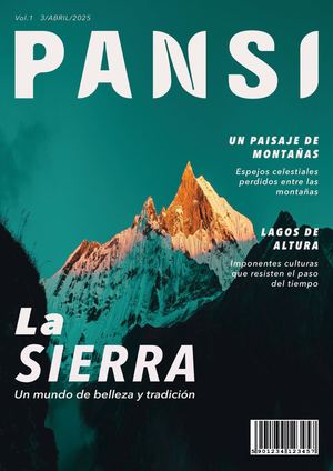 Calaméo - Pansi Revista