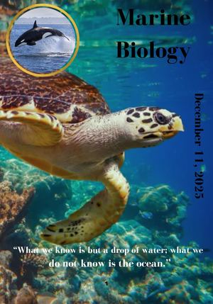 Calaméo - Marine Biology